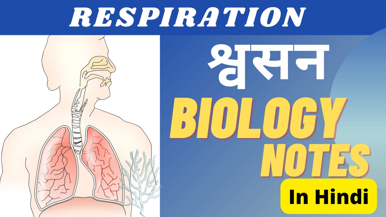 10th Respiration Notes (श्वसन)