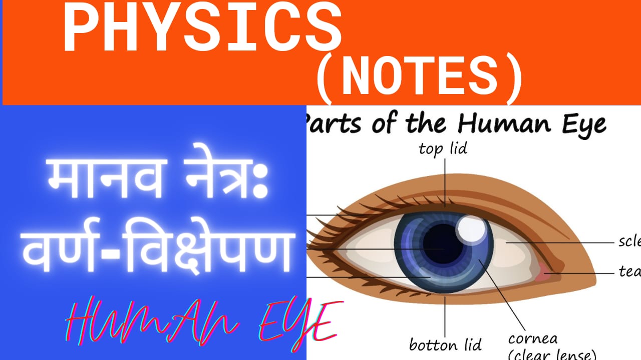 10th-human-eye-notes