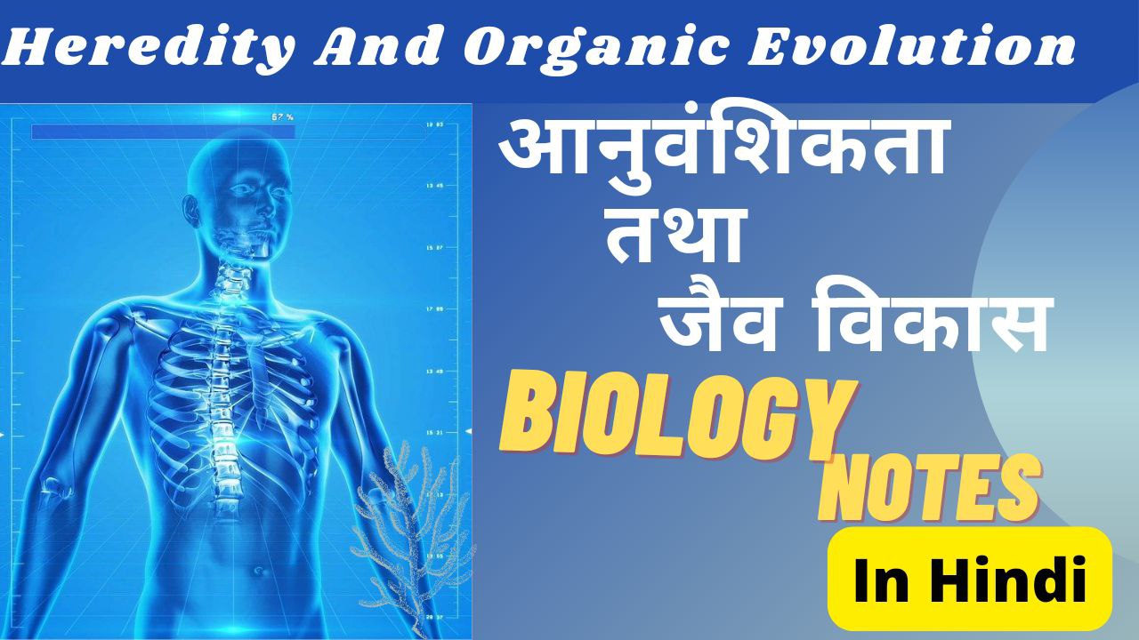 10th Biology chapter 7